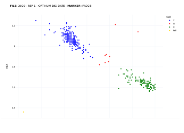 Crude DNA Extraction for High-Throughput PCR Genotyping