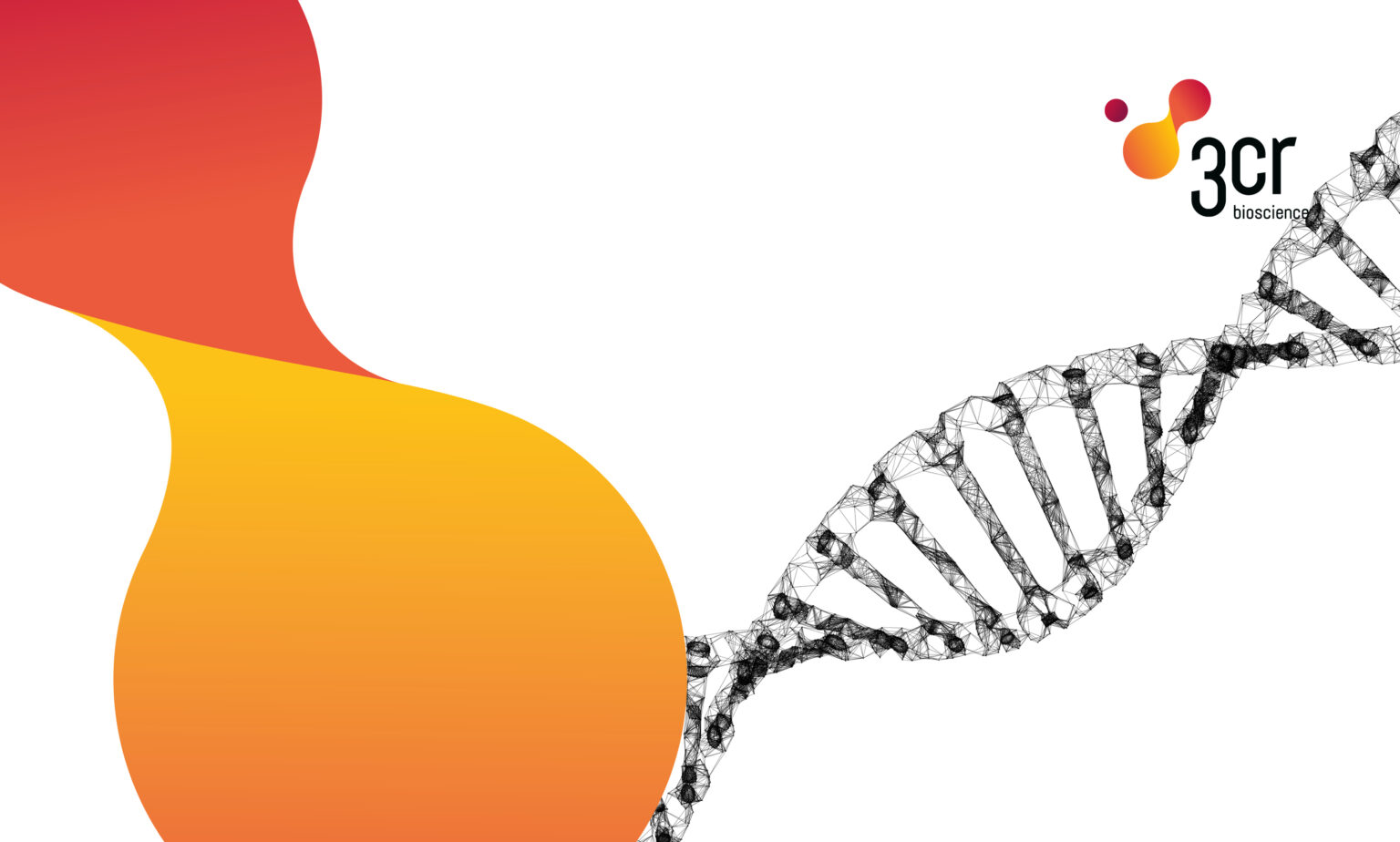 SNP Genotyping Assays: Methods, Workflows & PCR Platforms